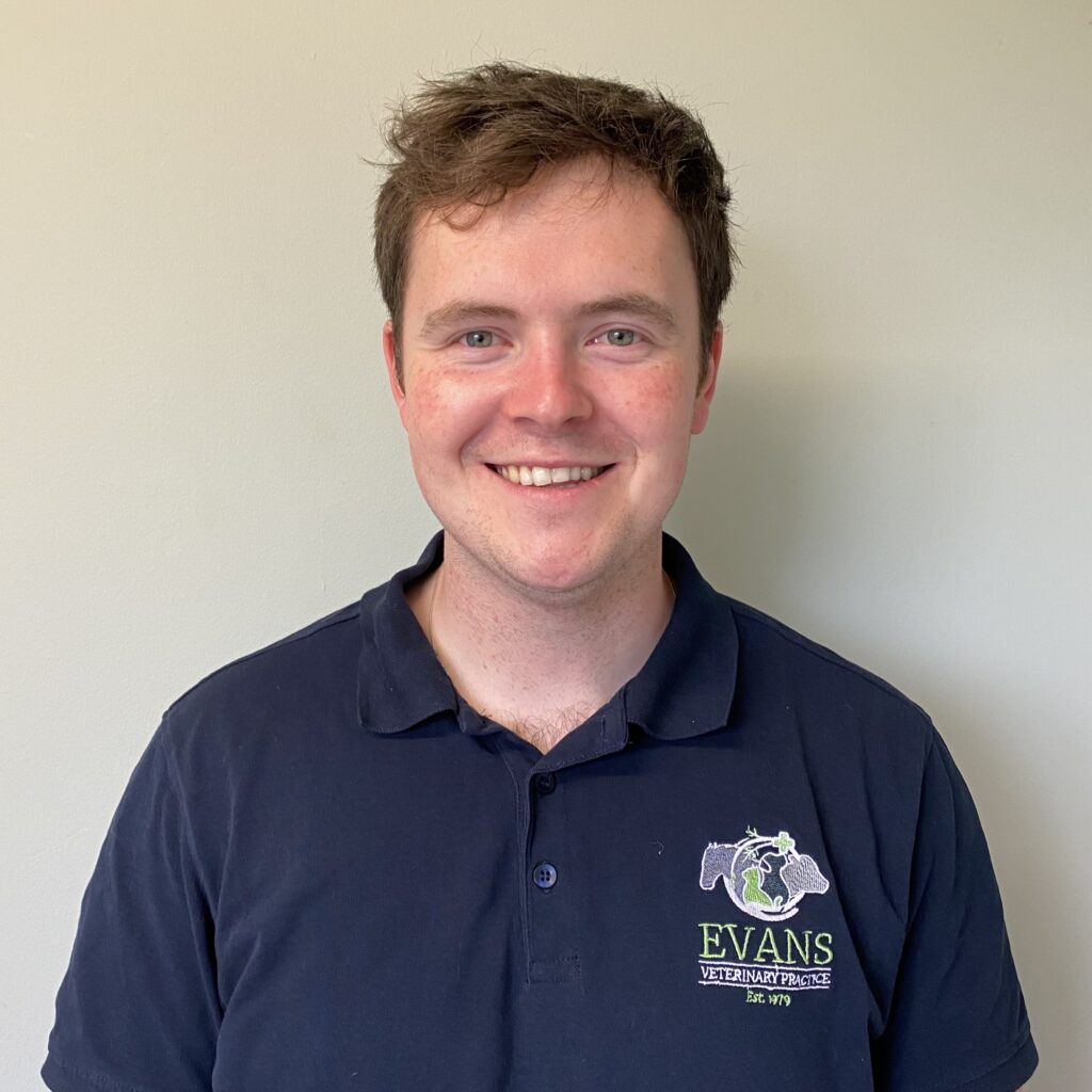 About Us - Evans Vets